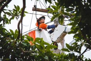 Level 3 Design and Engineering - ARA Electrical